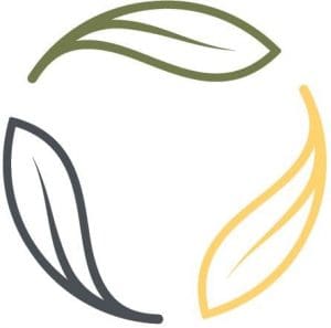 Mixing Ketamine And MDMA | Delamere